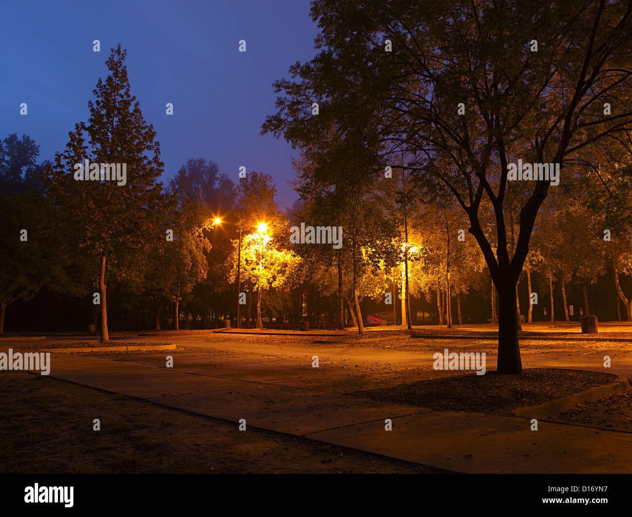 Early morning park Stock Photo - Alamy
