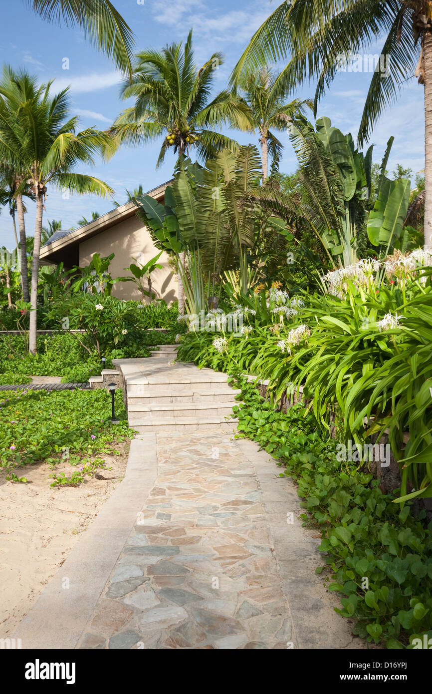 Tropical garden path Stock Photo - Alamy