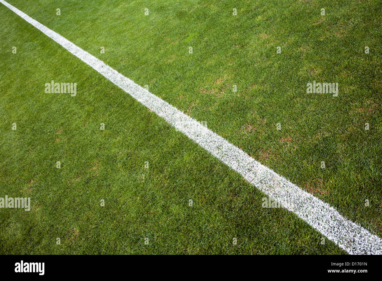 Lateral line hi-res stock photography and images - Alamy