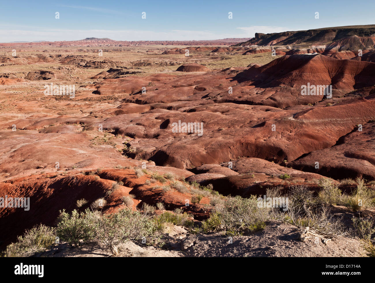The Painted Desert in Arizona, USA Stock Photo - Alamy