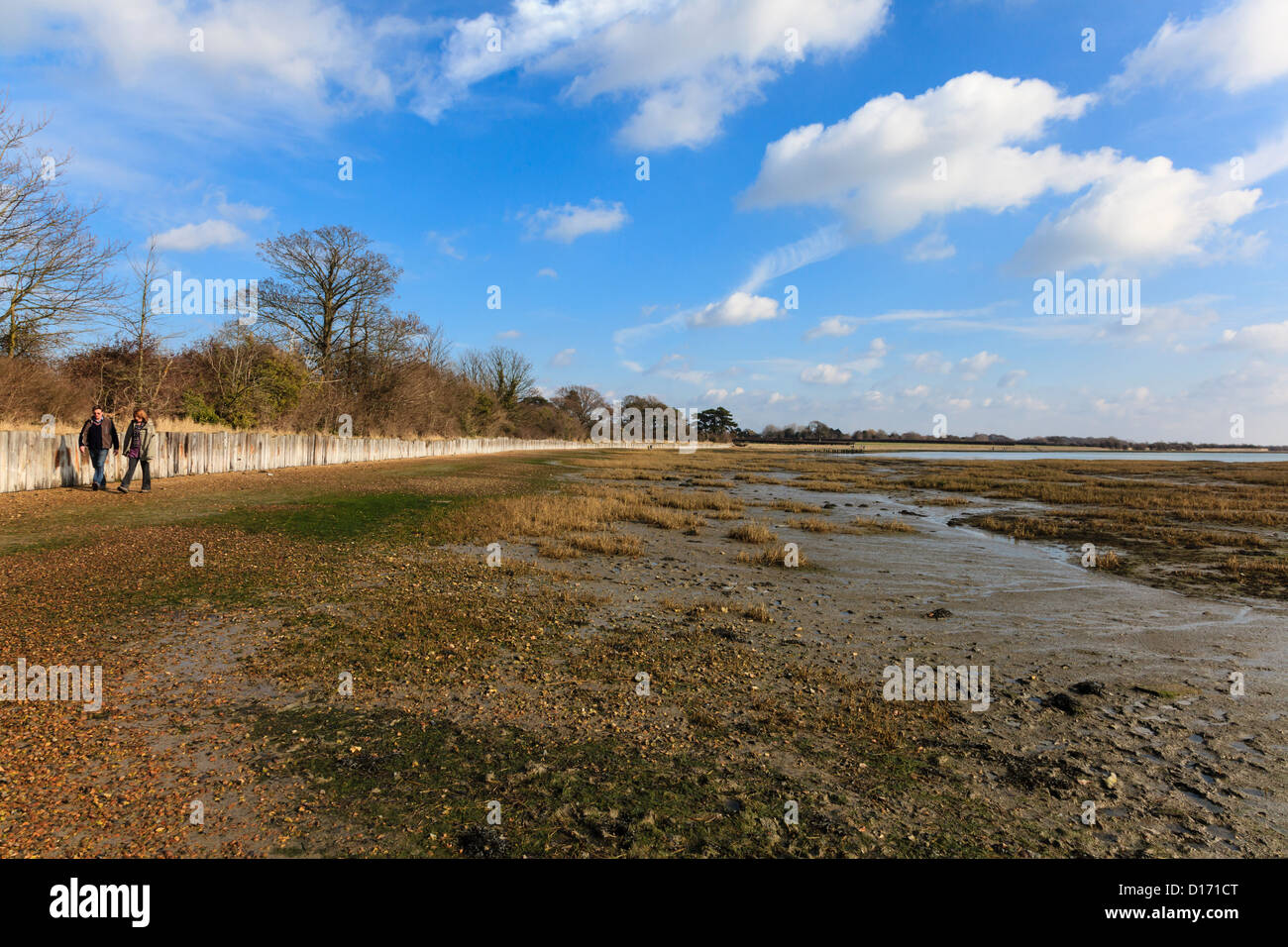 Man and woman walking on the Solent Way footpath on the beach of ...