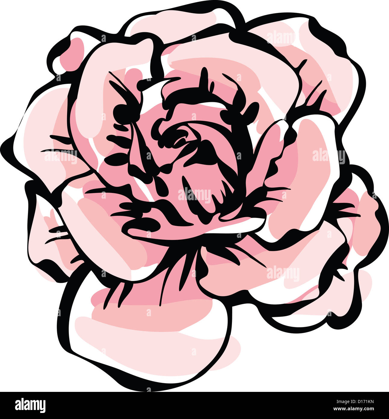 a image of nature delicate rose flower Stock Photo - Alamy