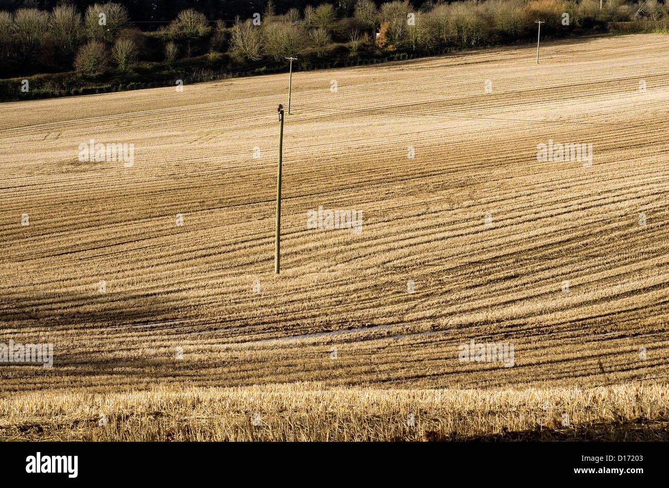 ploughed field and telegraph pole Stock Photo - Alamy