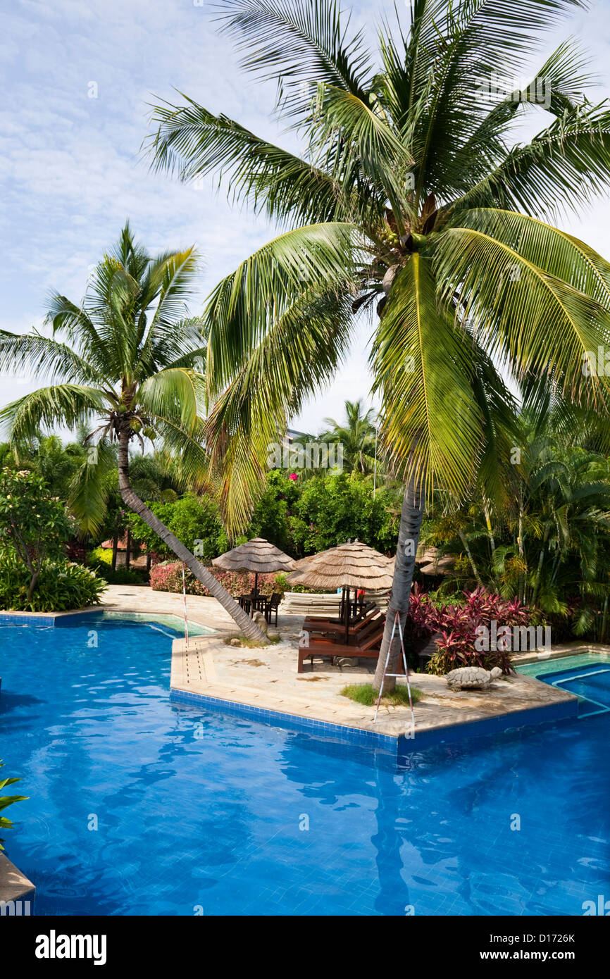 Swimming pool with sunshade and reclining chairs in the tropical resort ...