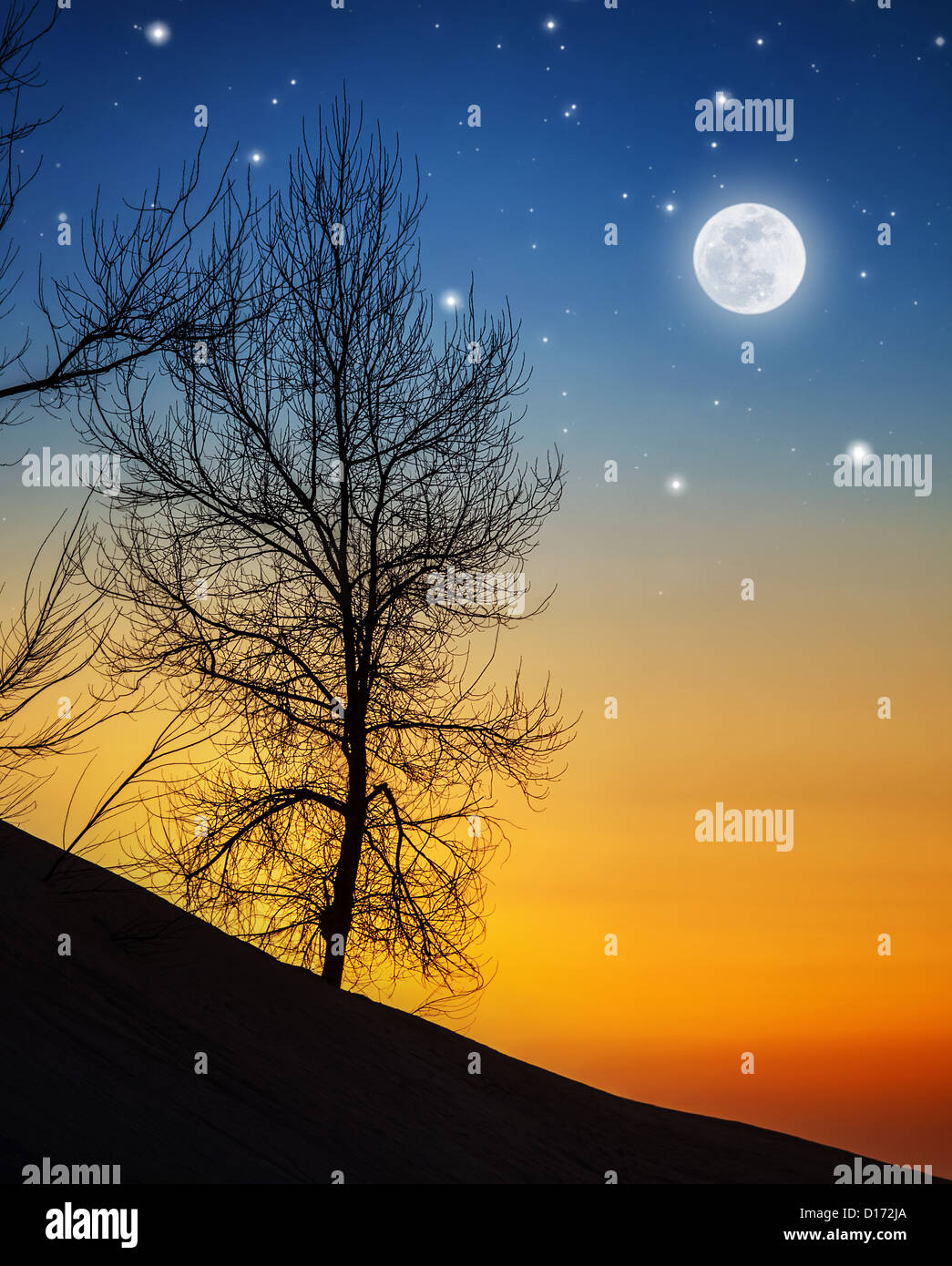 Moonlight silhouette hi-res stock photography and images - Alamy