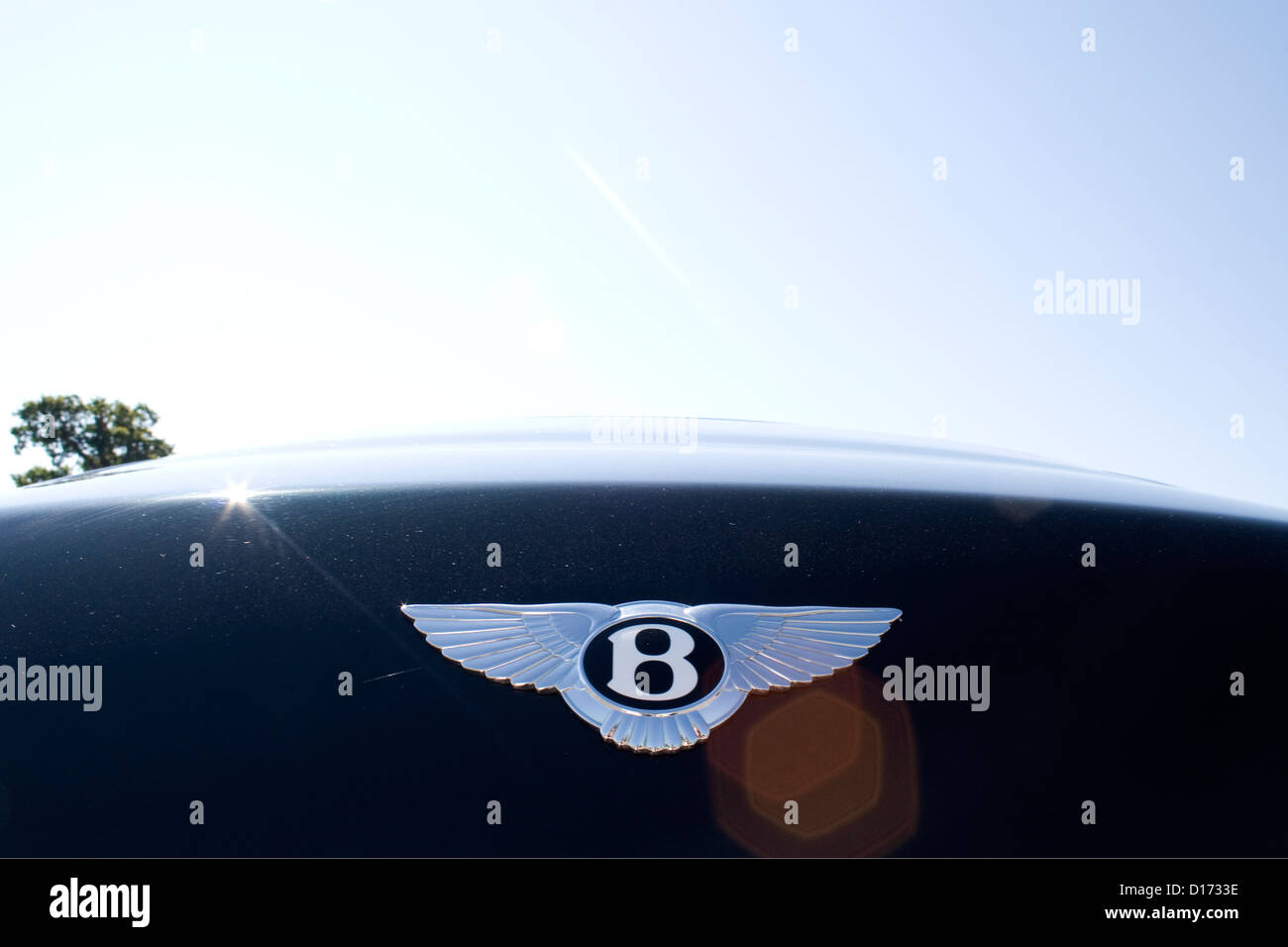 A Bentley badge on the back of a luxury Bentley car Stock Photo - Alamy