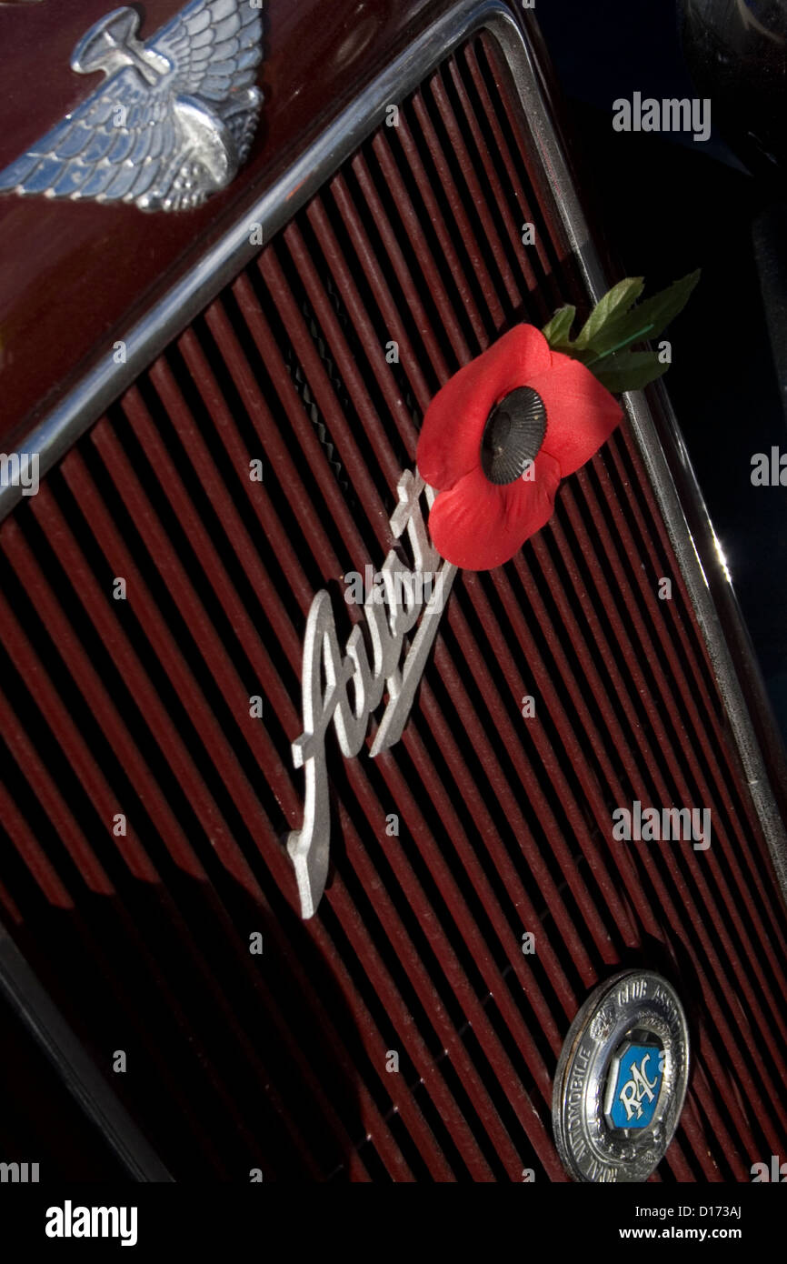 A red remembrance poppy on the grill of a classic Austin car Stock ...