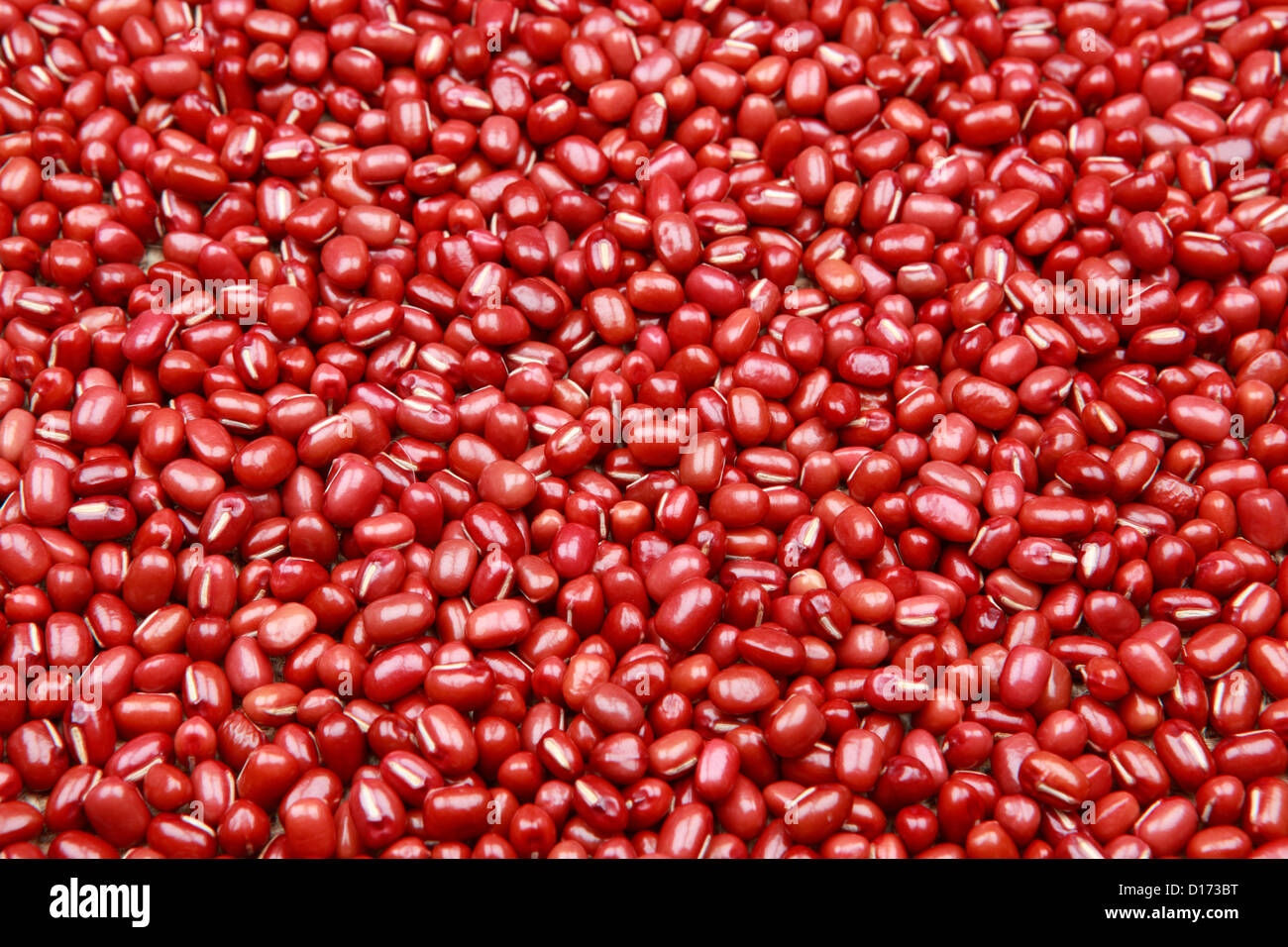 Azuki red beans Stock Photo - Alamy