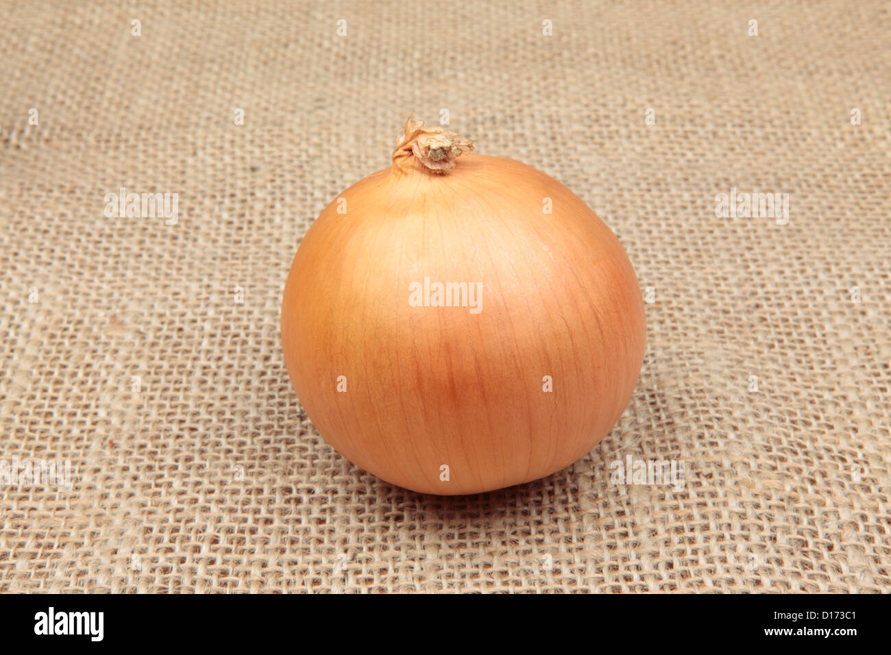 Onion on hemp cloth Stock Photo - Alamy