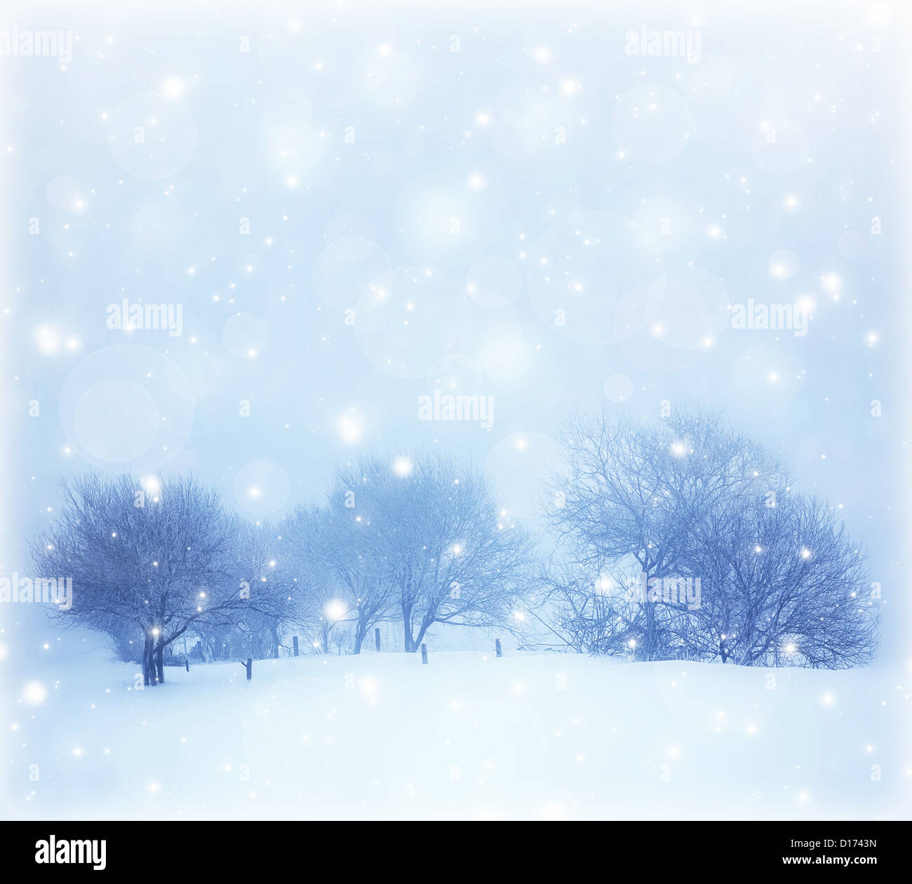 Photo of beautiful snowy landscape, Christmas postcard, snow cover on ...