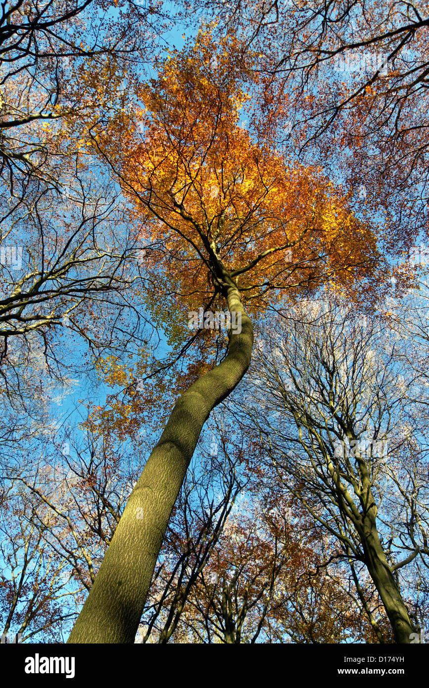 Friston hi-res stock photography and images - Alamy