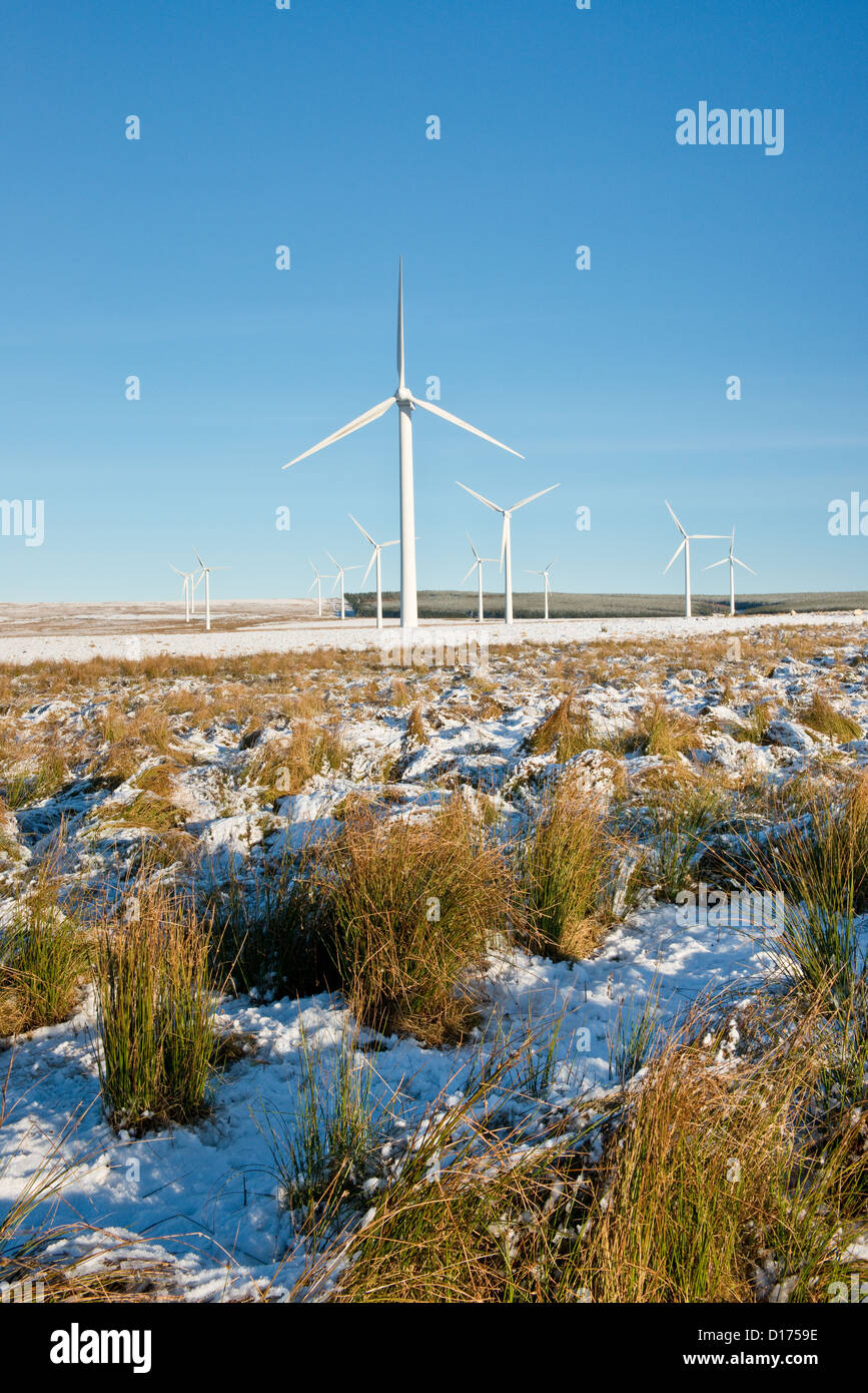 Wind turbine farm at Dun Law in Scottish Borders Stock Photo - Alamy