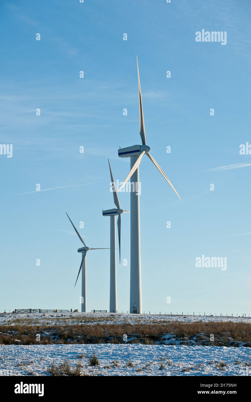 Wind turbine farm at Dun Law in Scottish Borders Stock Photo - Alamy