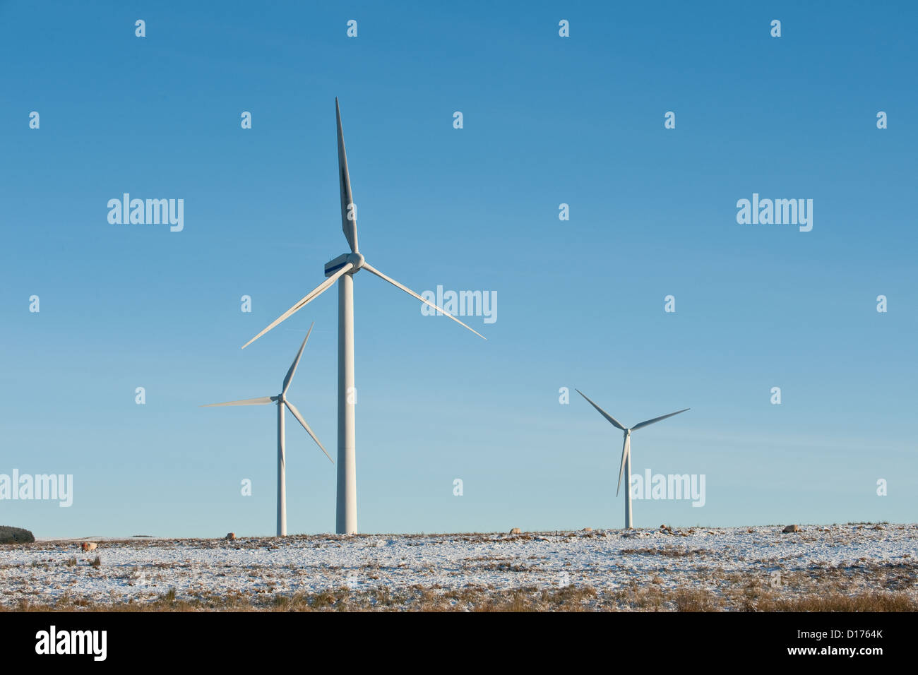 Wind turbine farm at Dun Law in Scottish Borders Stock Photo - Alamy