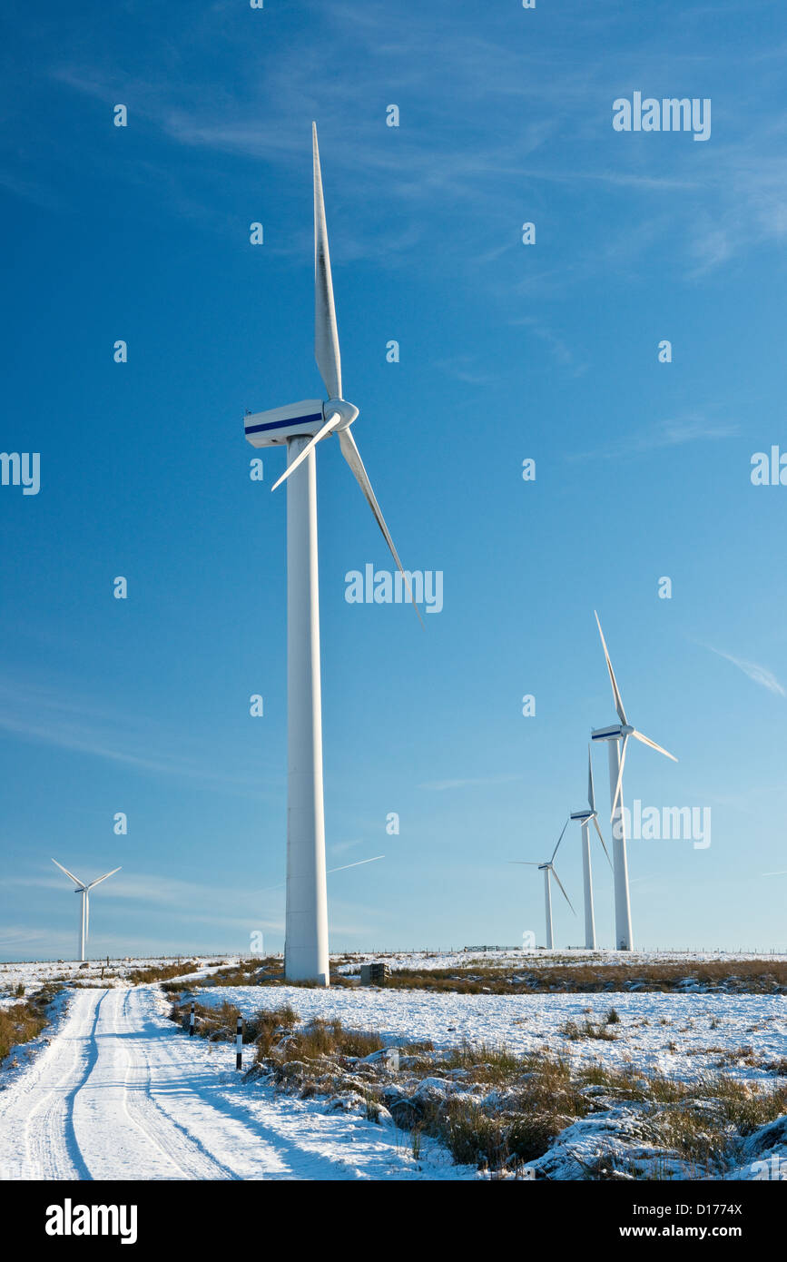 Wind turbine farm at Dun Law in Scottish Borders Stock Photo - Alamy