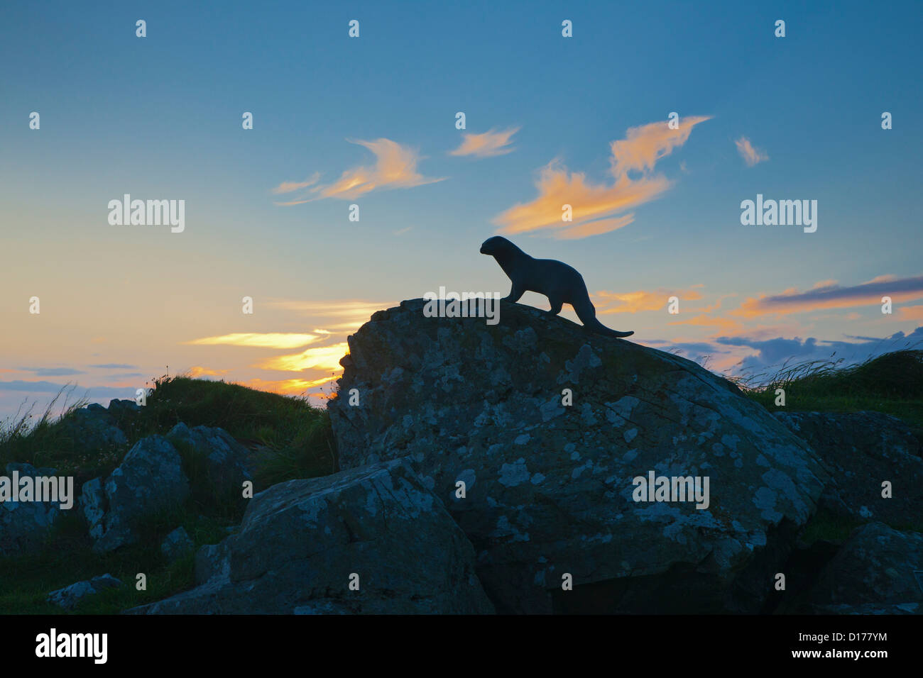 Monreith otter sunset gavin maxwell hi-res stock photography and images ...