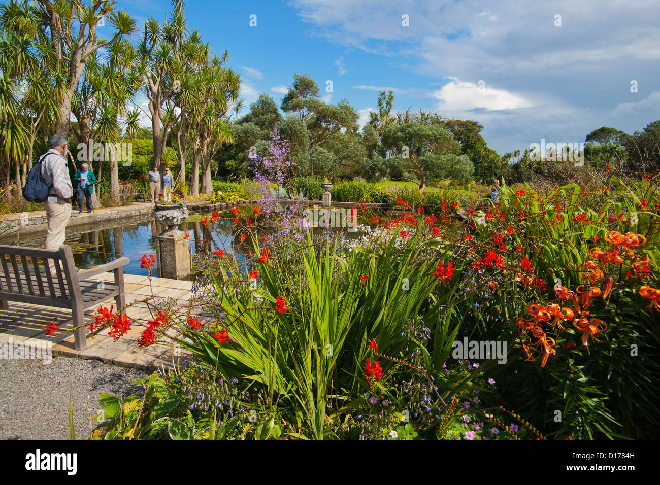 Logan Botanic gardens, Rhins of Galloway, Scotland, UK Stock Photo - Alamy