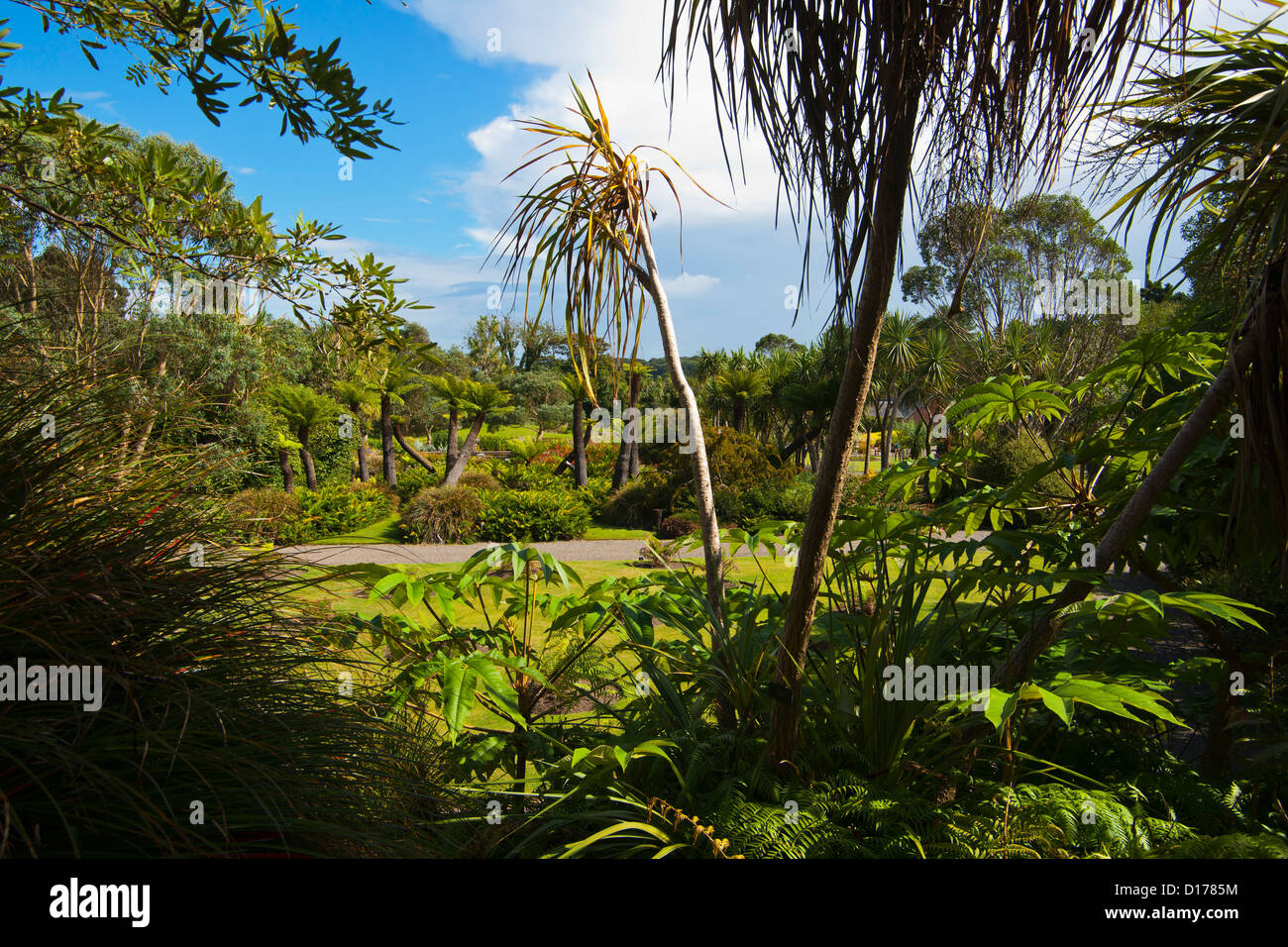 Logan Botanic gardens, Rhins of Galloway, Scotland, UK Stock Photo - Alamy
