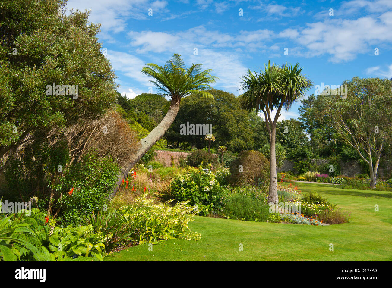 Logan Botanic gardens, Rhins of Galloway, Scotland, UK Stock Photo - Alamy