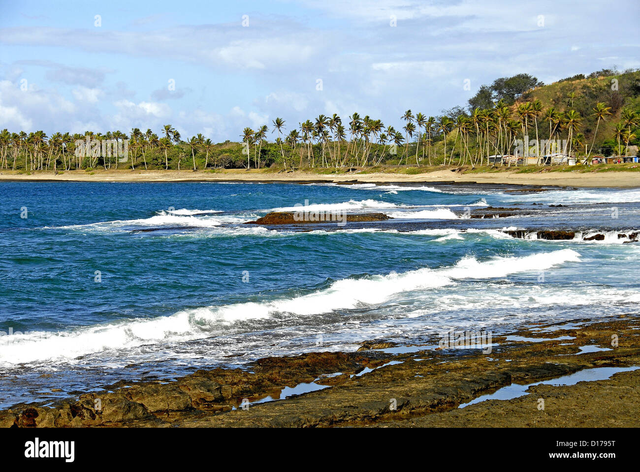 beach Fiji Oceania Stock Photo - Alamy