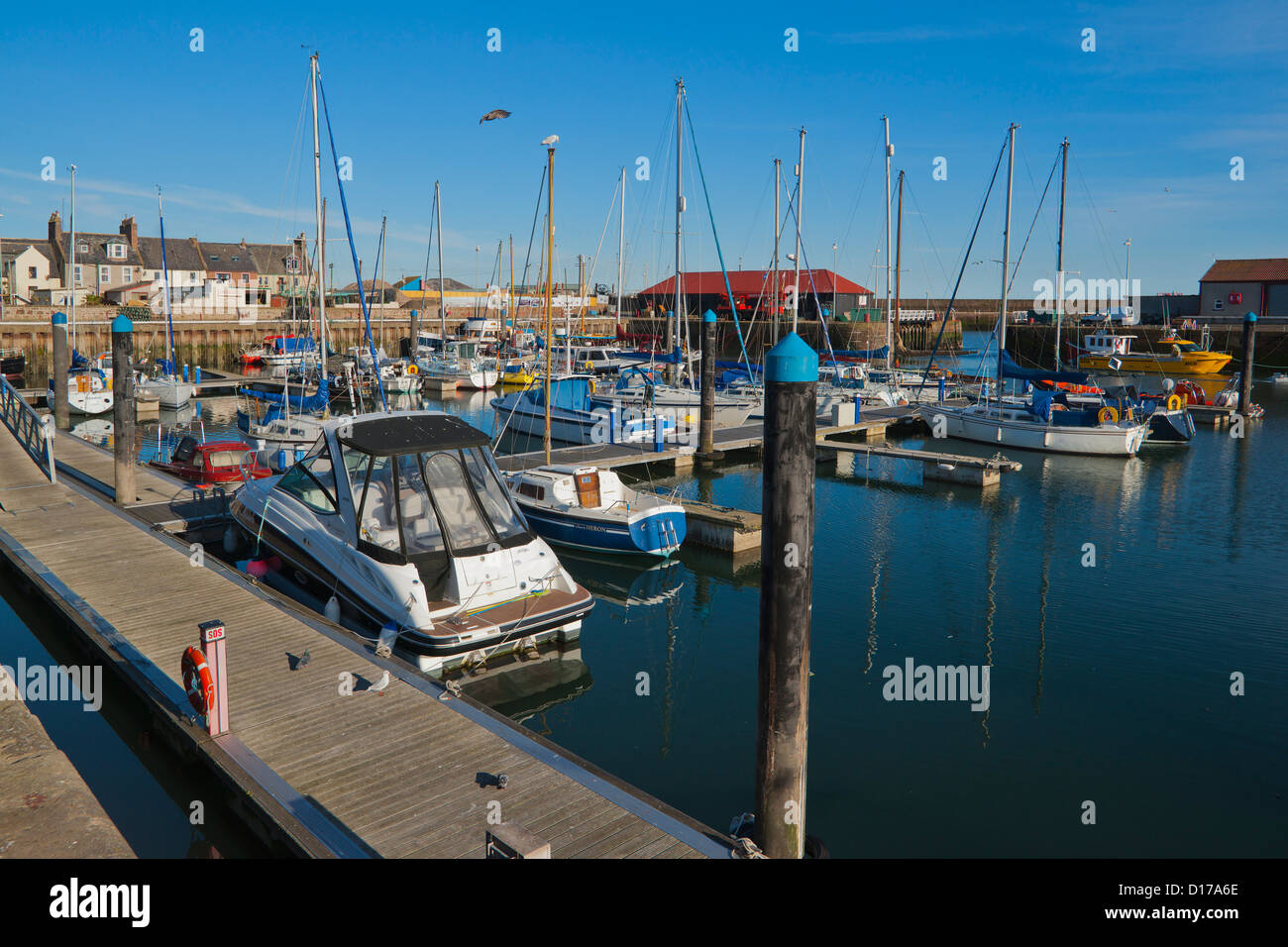 Tayside travel hi-res stock photography and images - Alamy