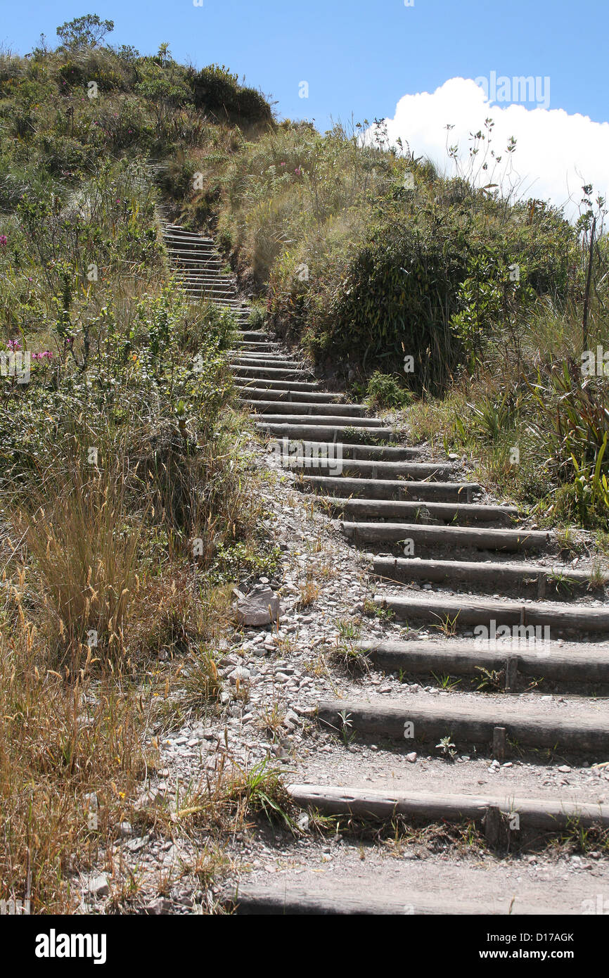 Rough stairs on a trail leading up a mountain at Lake Cuicocha, Ecuador ...