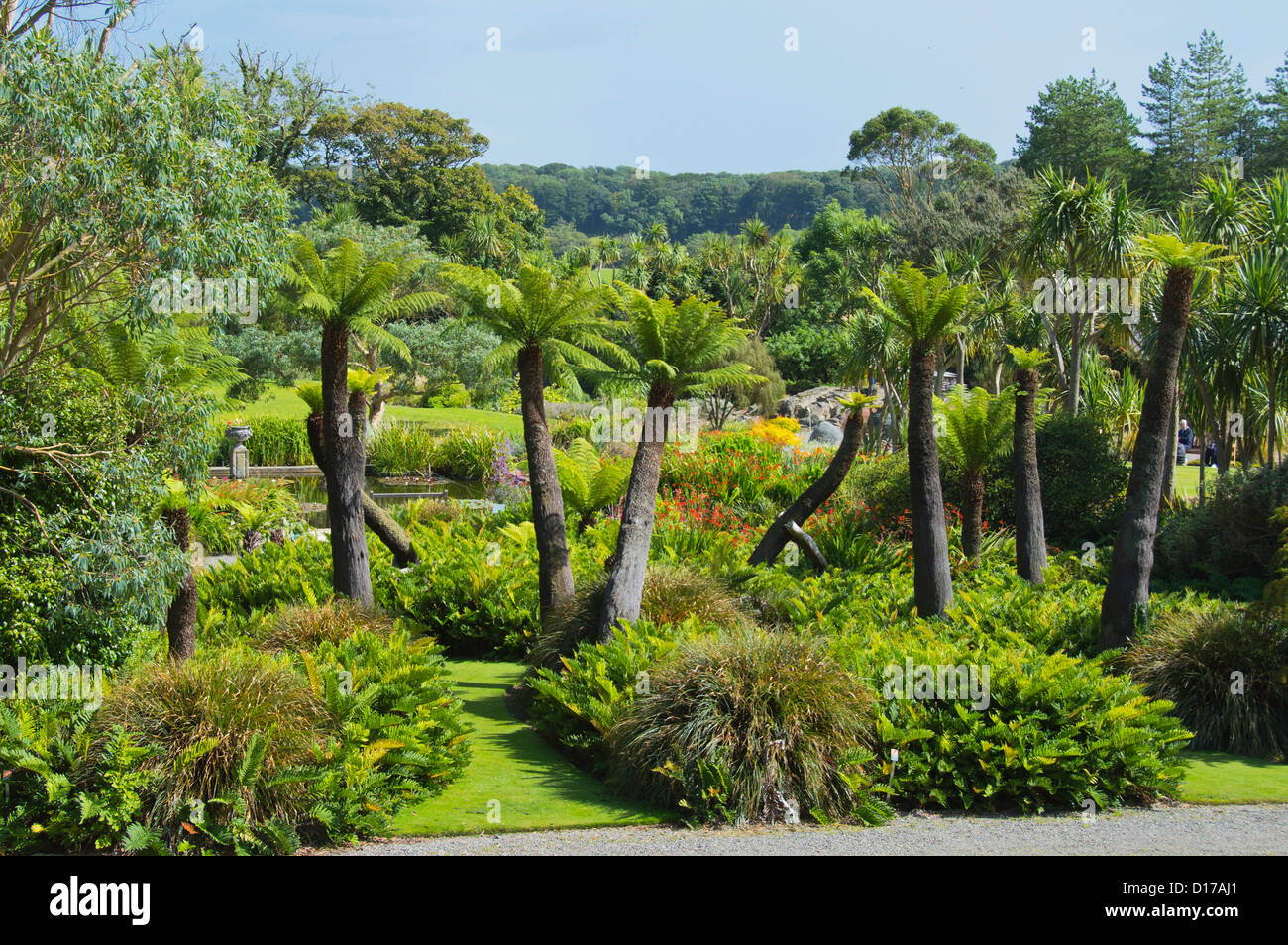 Logan Botanic gardens, Rhins of Galloway, Scotland, UK Stock Photo - Alamy