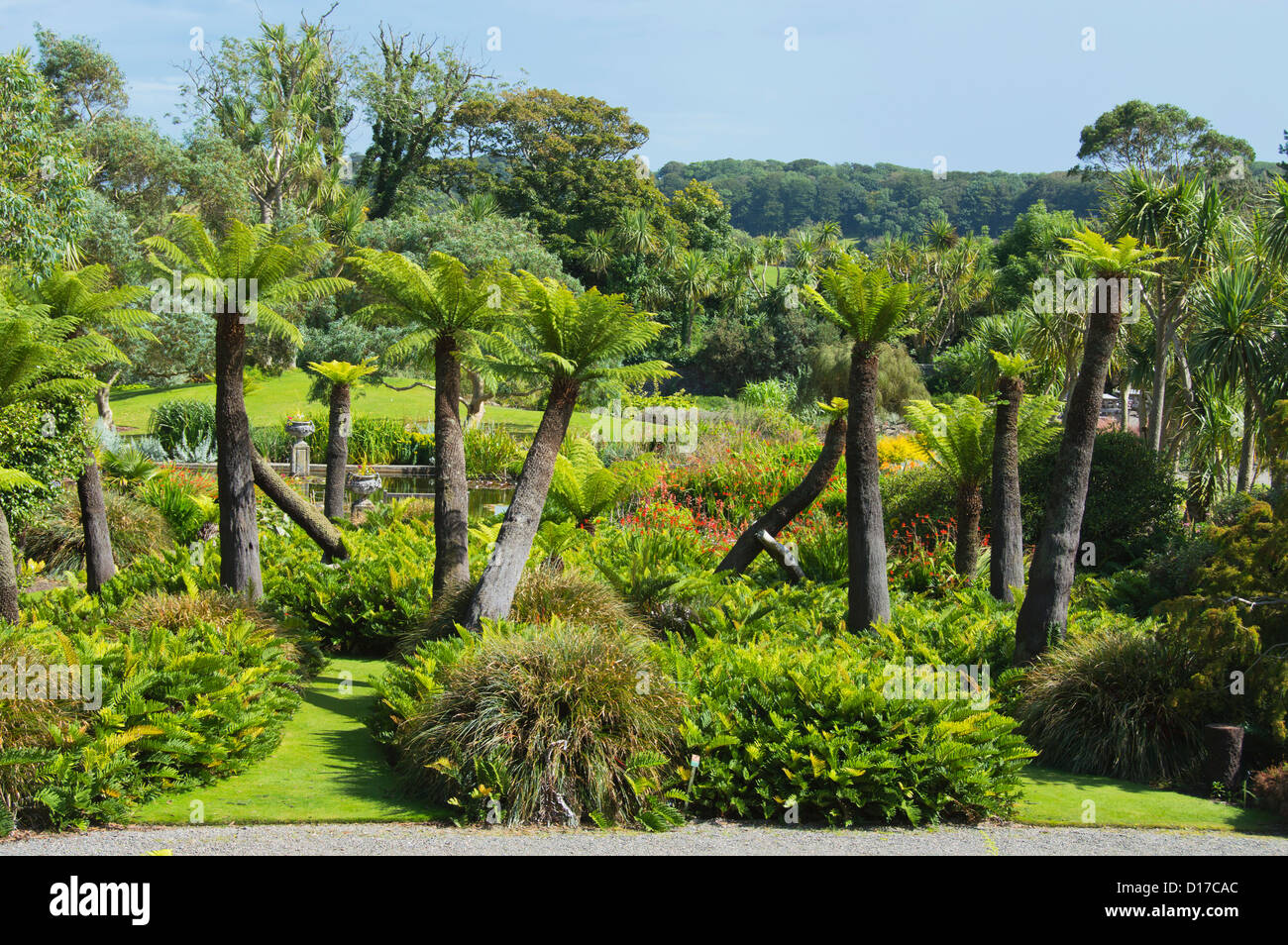 Logan Botanic gardens, Rhins of Galloway, Scotland, UK Stock Photo - Alamy