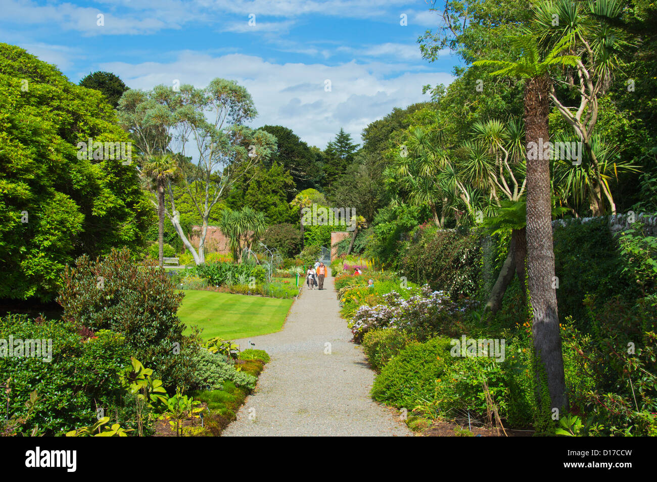 Logan Botanic gardens, Rhins of Galloway, Scotland, UK Stock Photo - Alamy