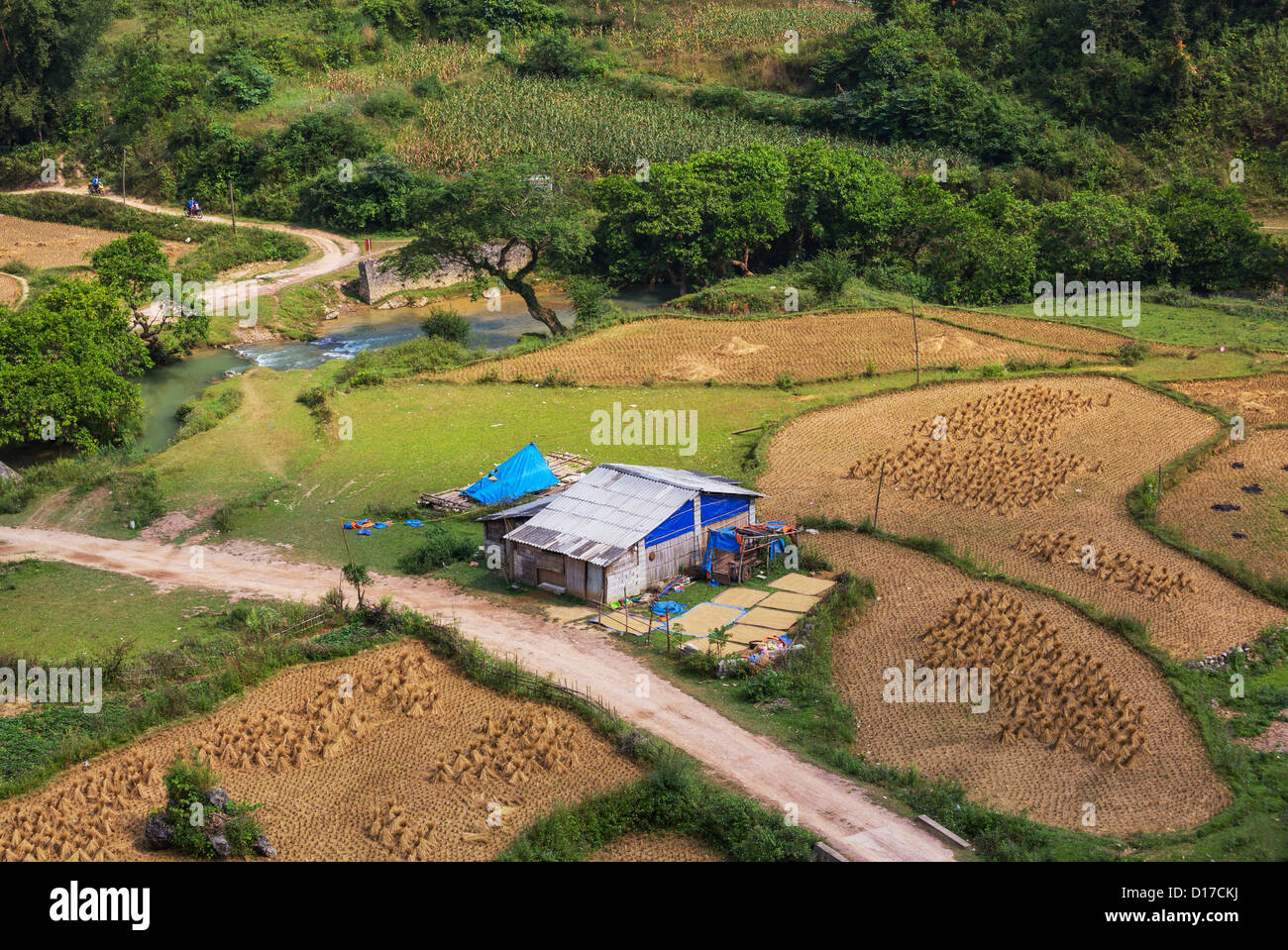 field in Vietnam Stock Photo - Alamy