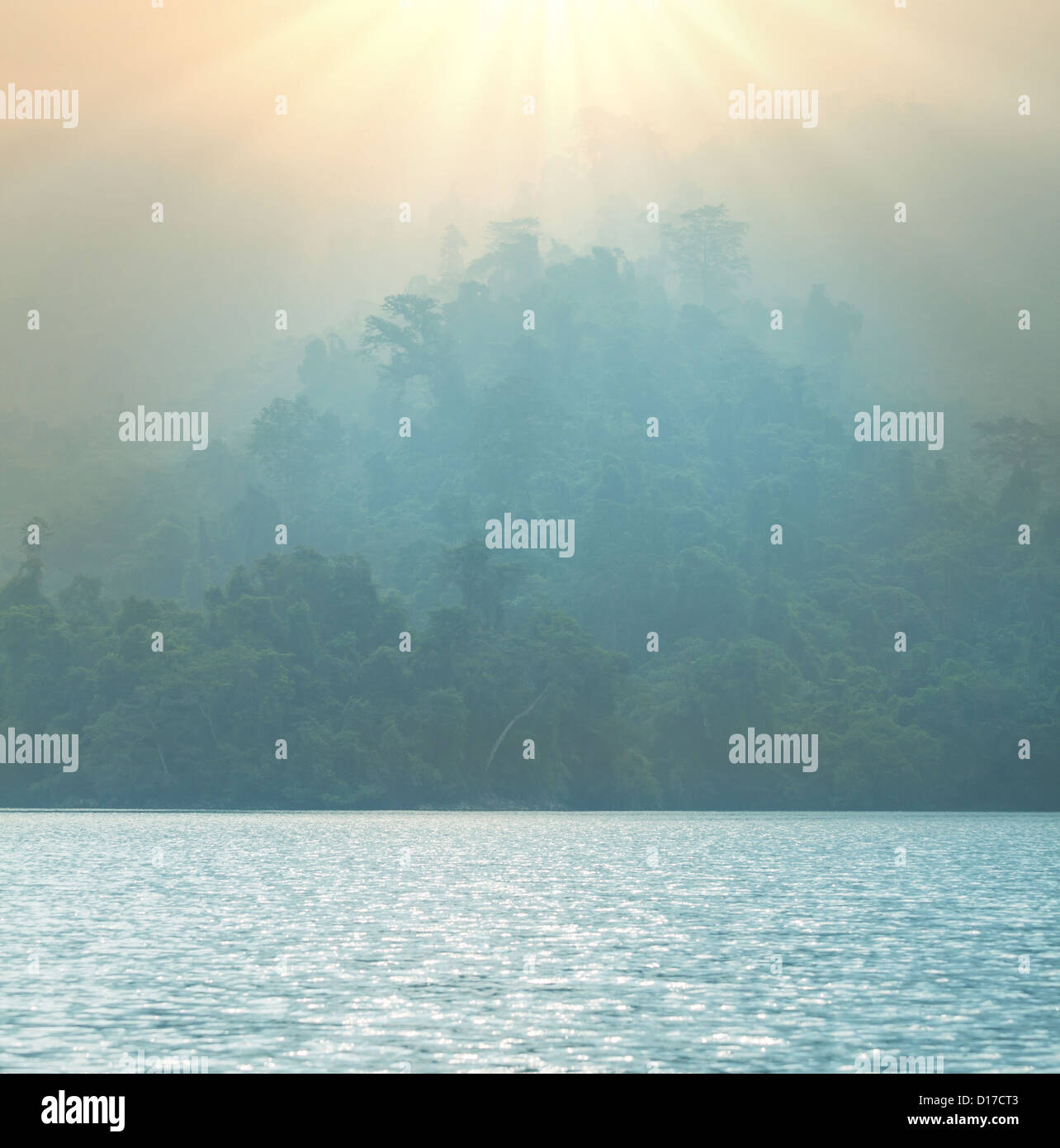 jungle in Vietnam Stock Photo - Alamy