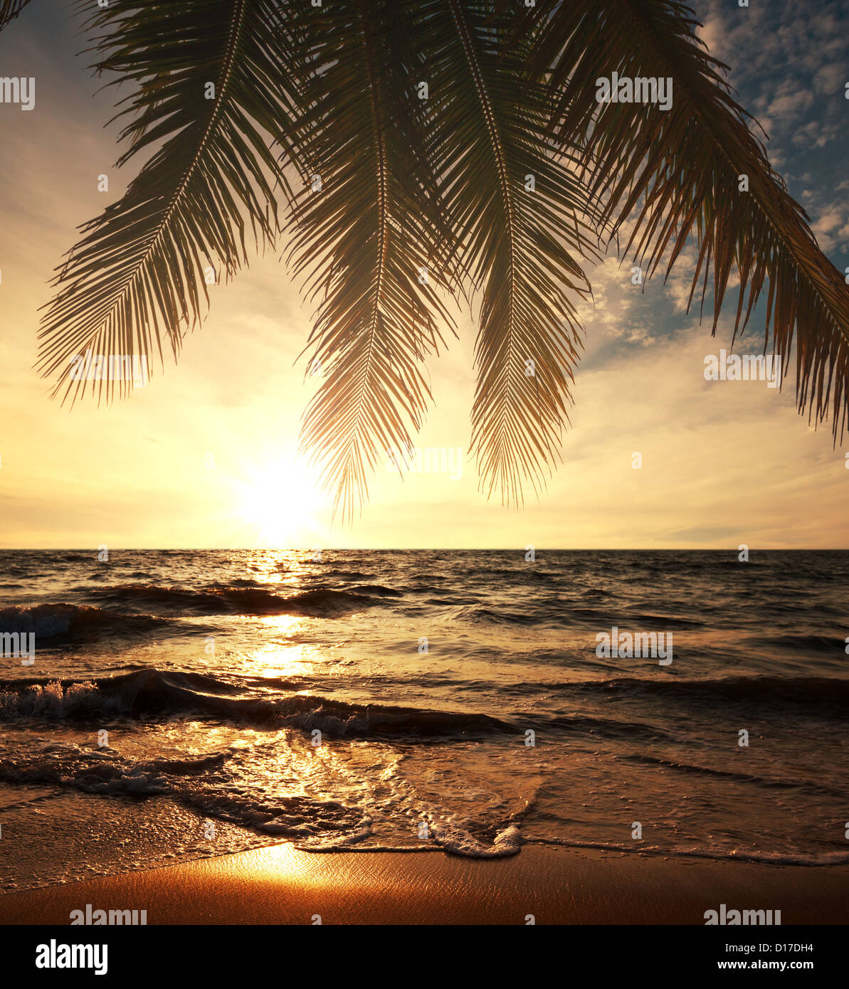 Tropical beach at sunset Stock Photo - Alamy