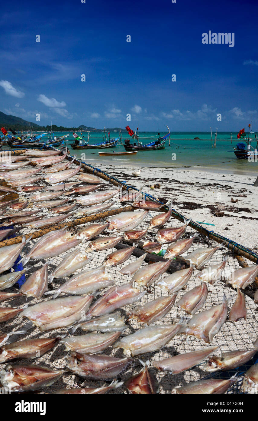 Thailand, Koh Samui (Samui Island), local fishing boats and fish drying ...
