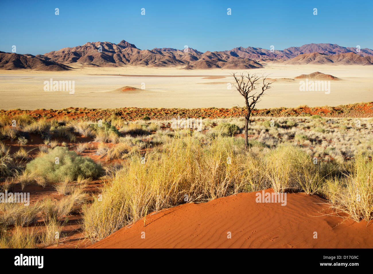 View across Chateau Valley in the Namib-Rand reserve in Namibia Stock ...