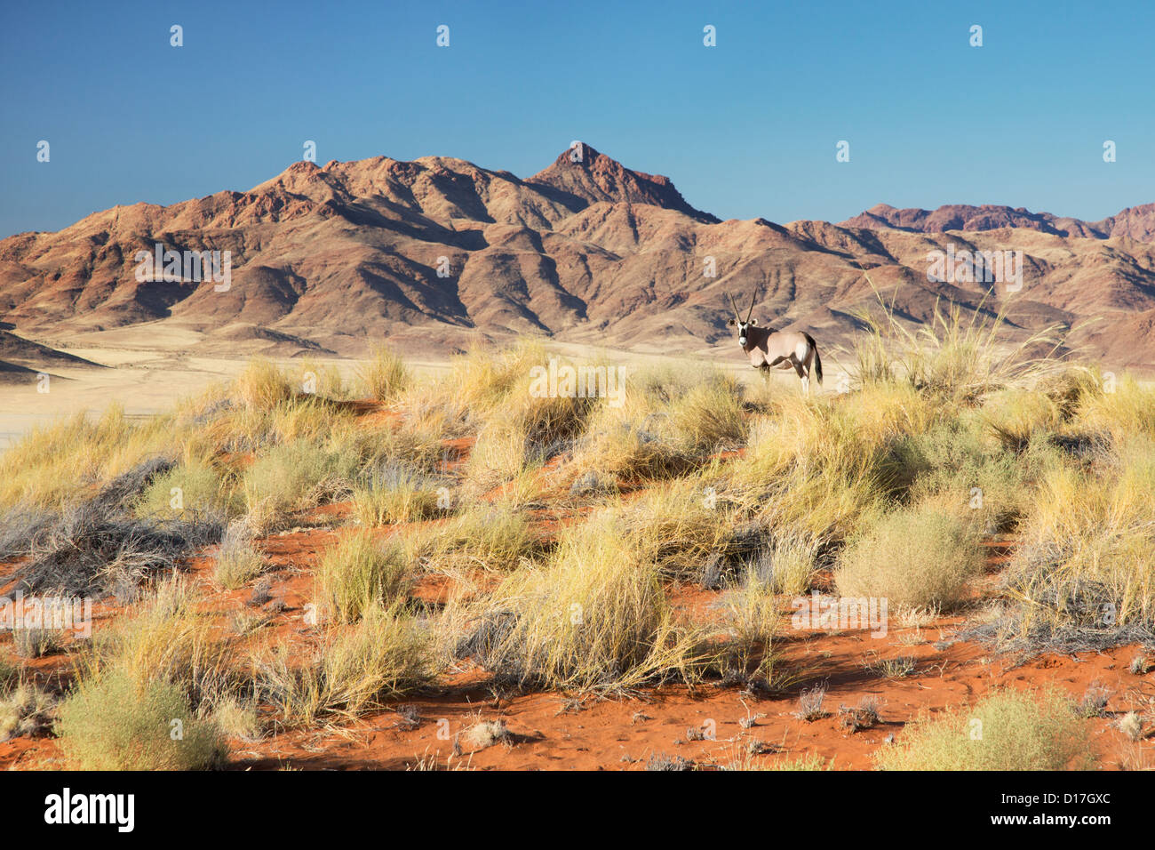 Namibia landscape dramatic hi-res stock photography and images - Alamy