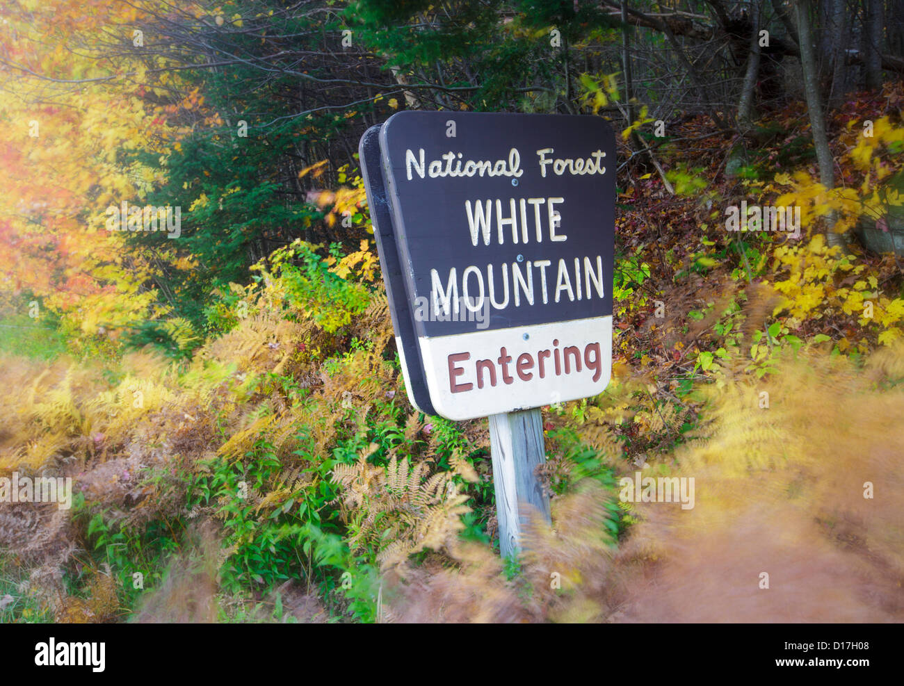 Franconia Notch State Park - Scenic view along the Franconia Notch Bike ...