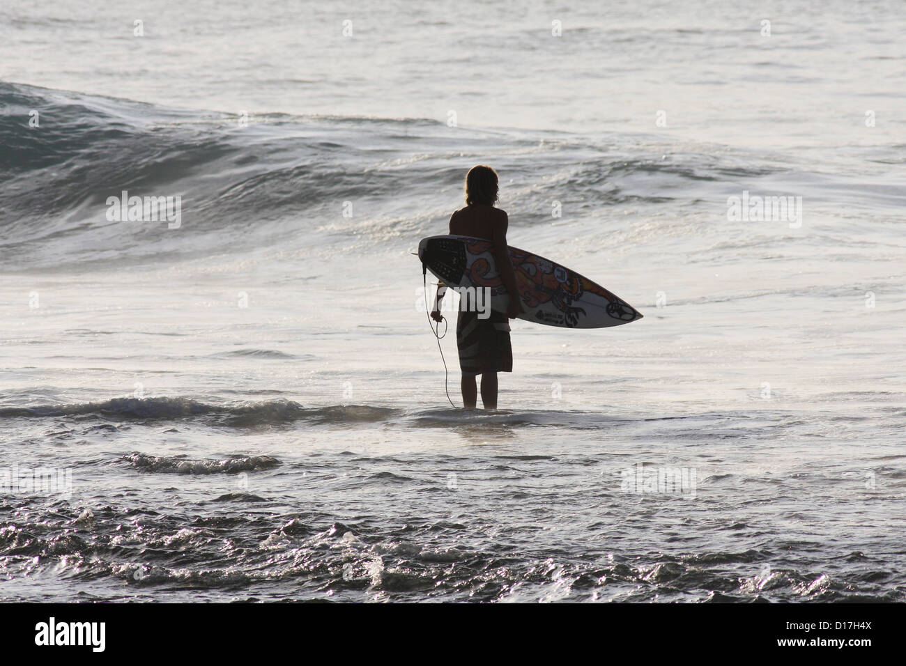 Hawaii, Oahu, North Shore, Pipeline, Surfer, Riding A Wave Stock Photo ...