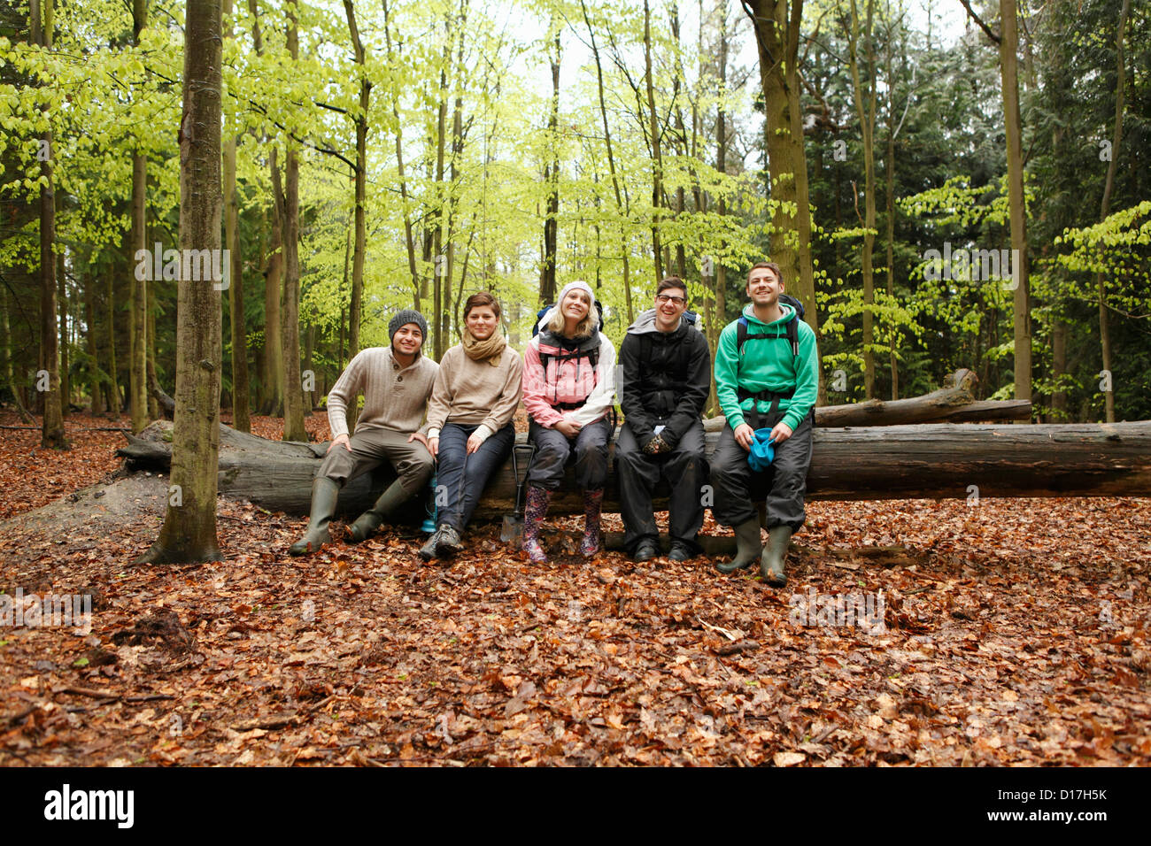 Smiling friends sitting in log in forest Stock Photo - Alamy