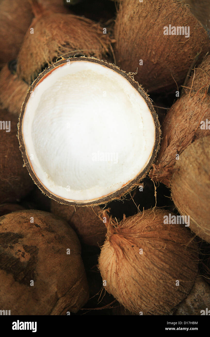 Hawaii, Oahu, A Coconut In Halves, White Meaty Fruit Stock Photo - Alamy