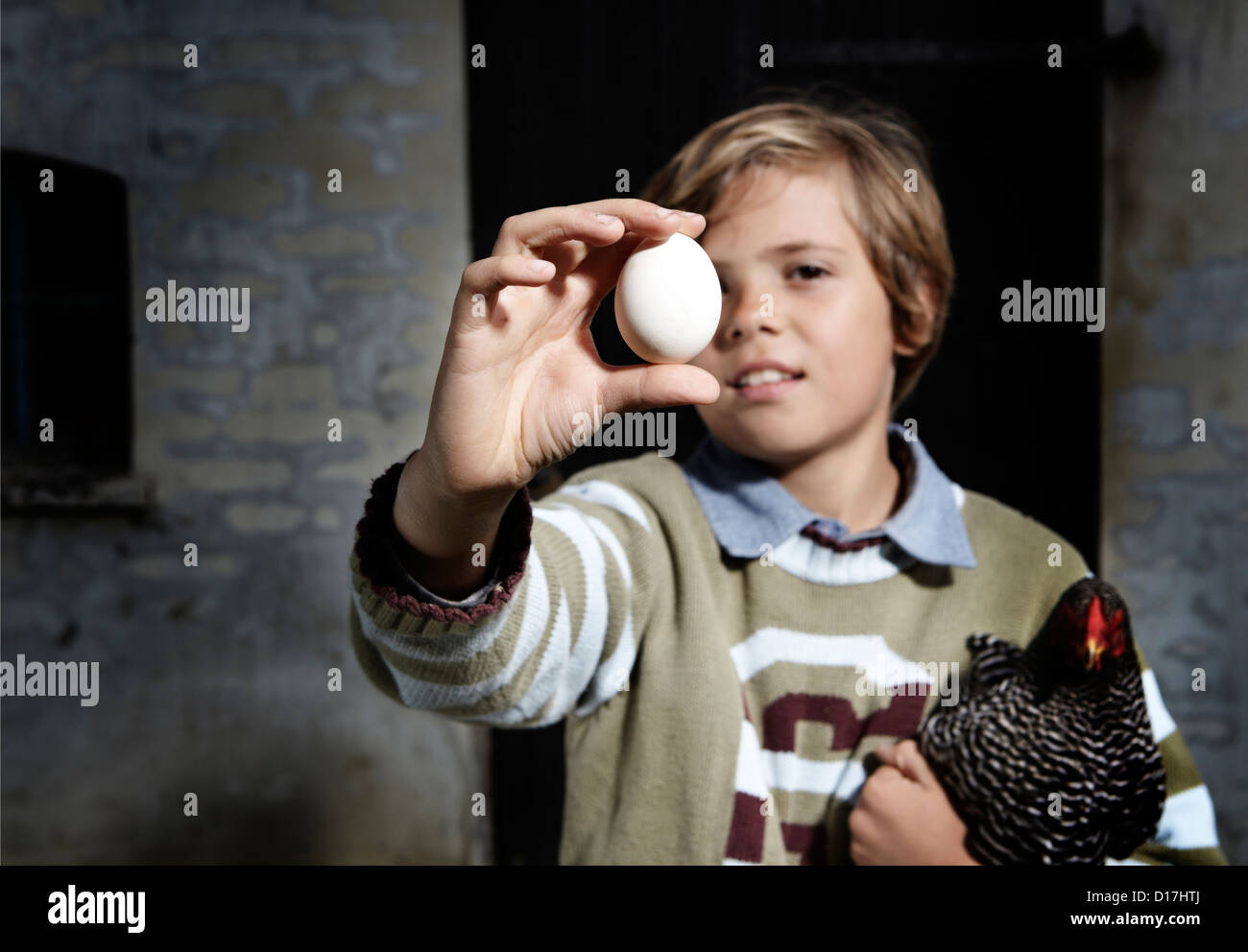 Boy holding egg and chicken outdoors Stock Photo - Alamy