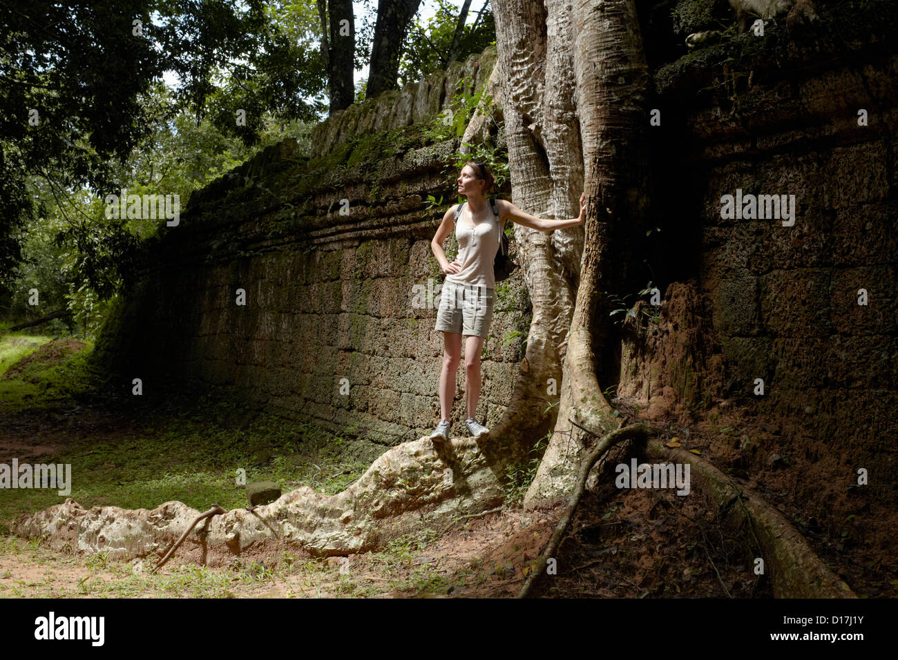 Root arms hi-res stock photography and images - Alamy