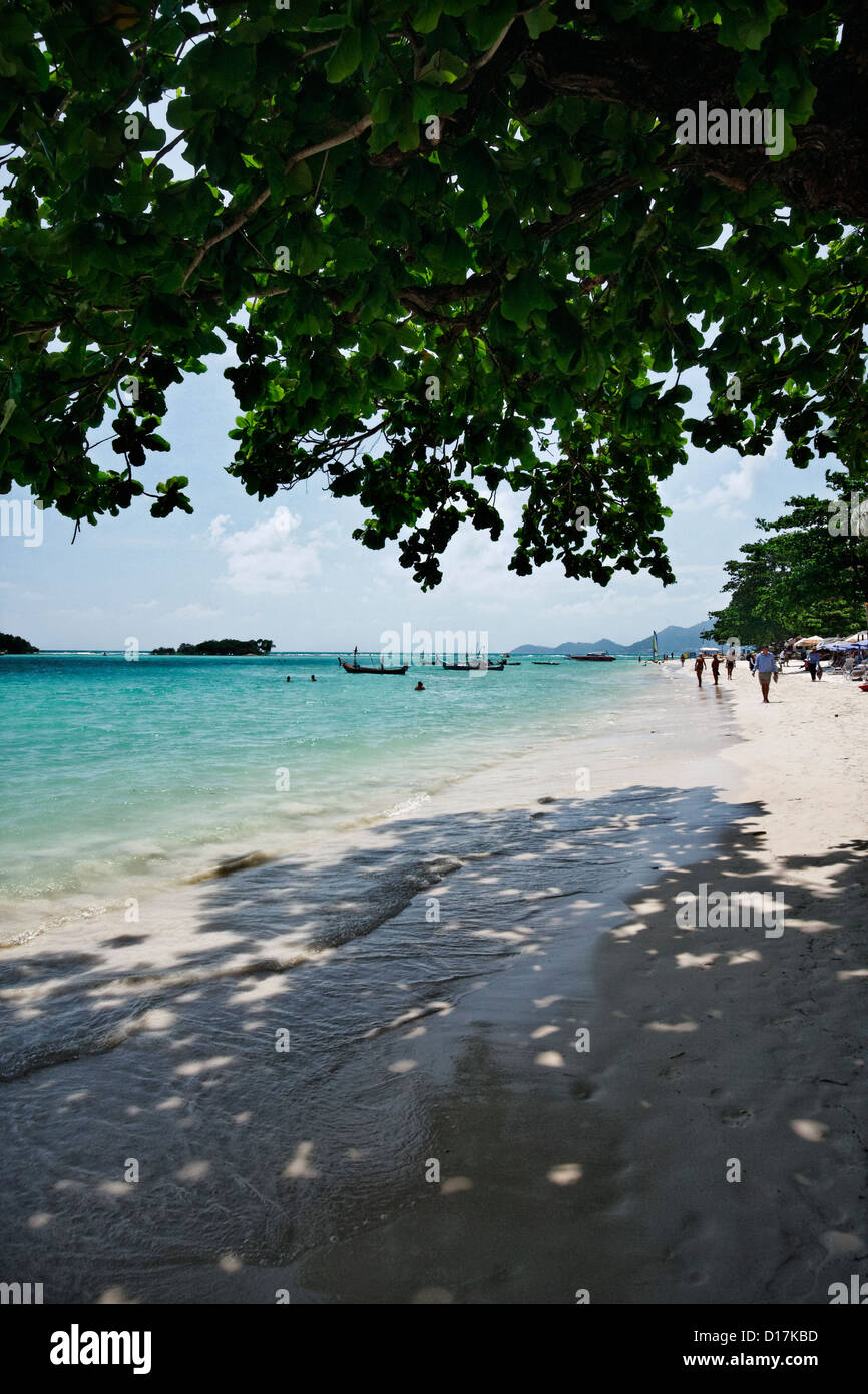 Thailand, Koh Samui (Samui Island), view of a beach Stock Photo - Alamy