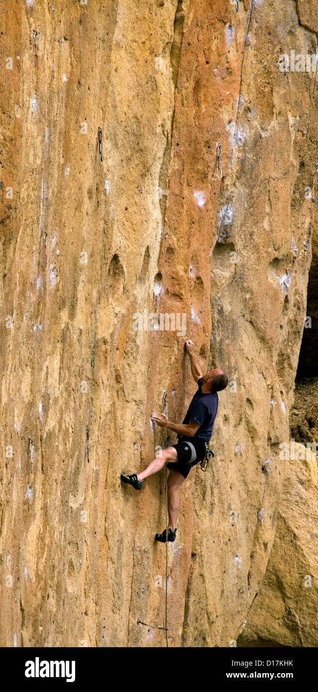 OR00579-00....OREGON - Rock climber Bob Saunders ascending a vertical ...