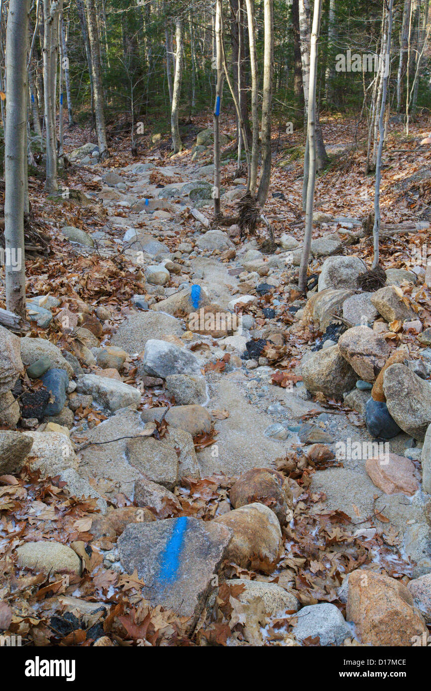 Crawford Notch State Park - Trail Blazing along the Maggie's Run Trail ...