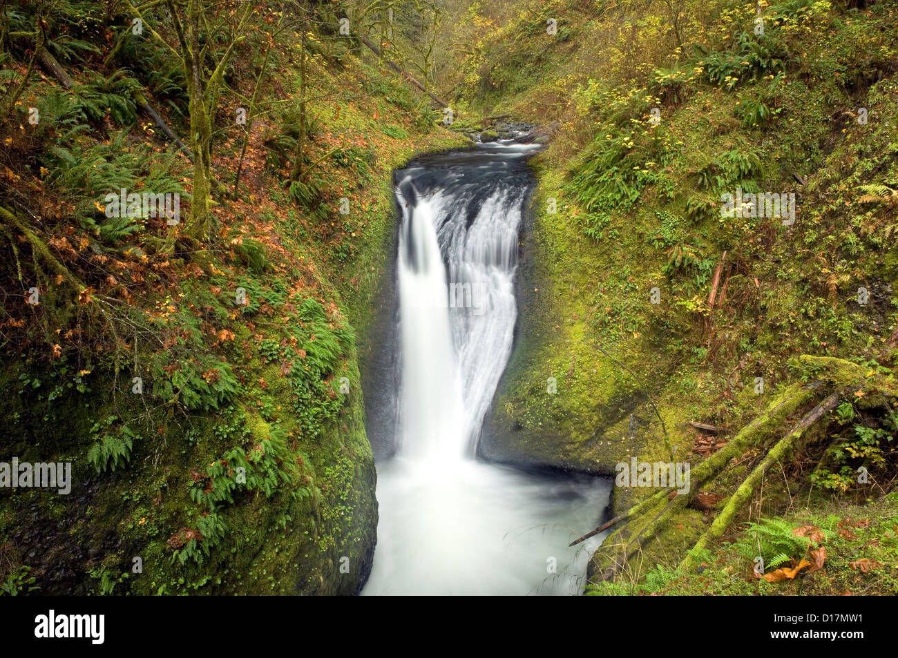OR00615-00...OREGON - Oneonta Falls in the Columbia River Gorge ...