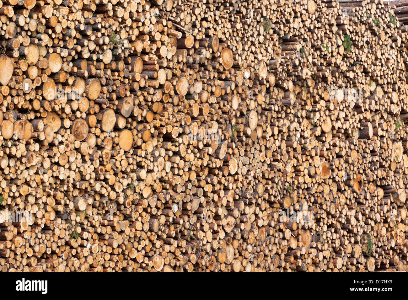 Big pile of logs as a horizontal background Stock Photo - Alamy