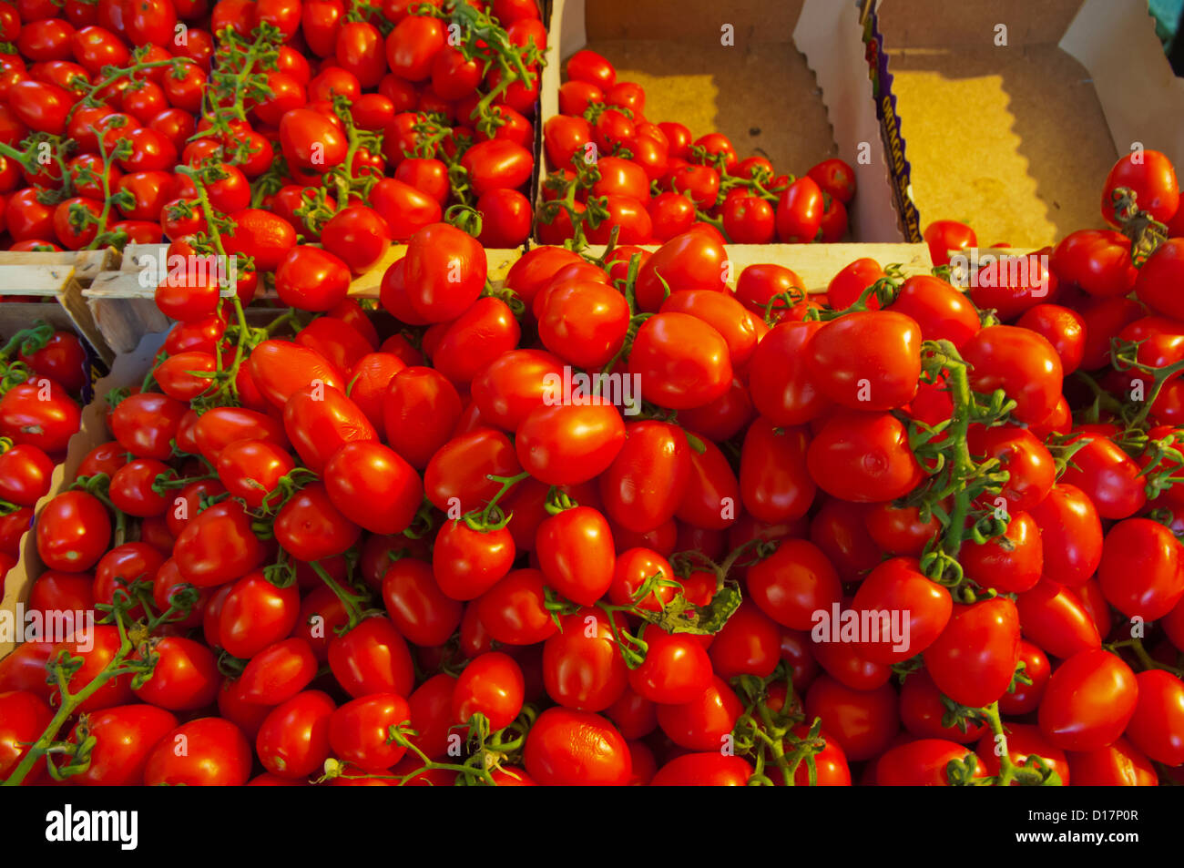 Campania tomatoes hi-res stock photography and images - Alamy