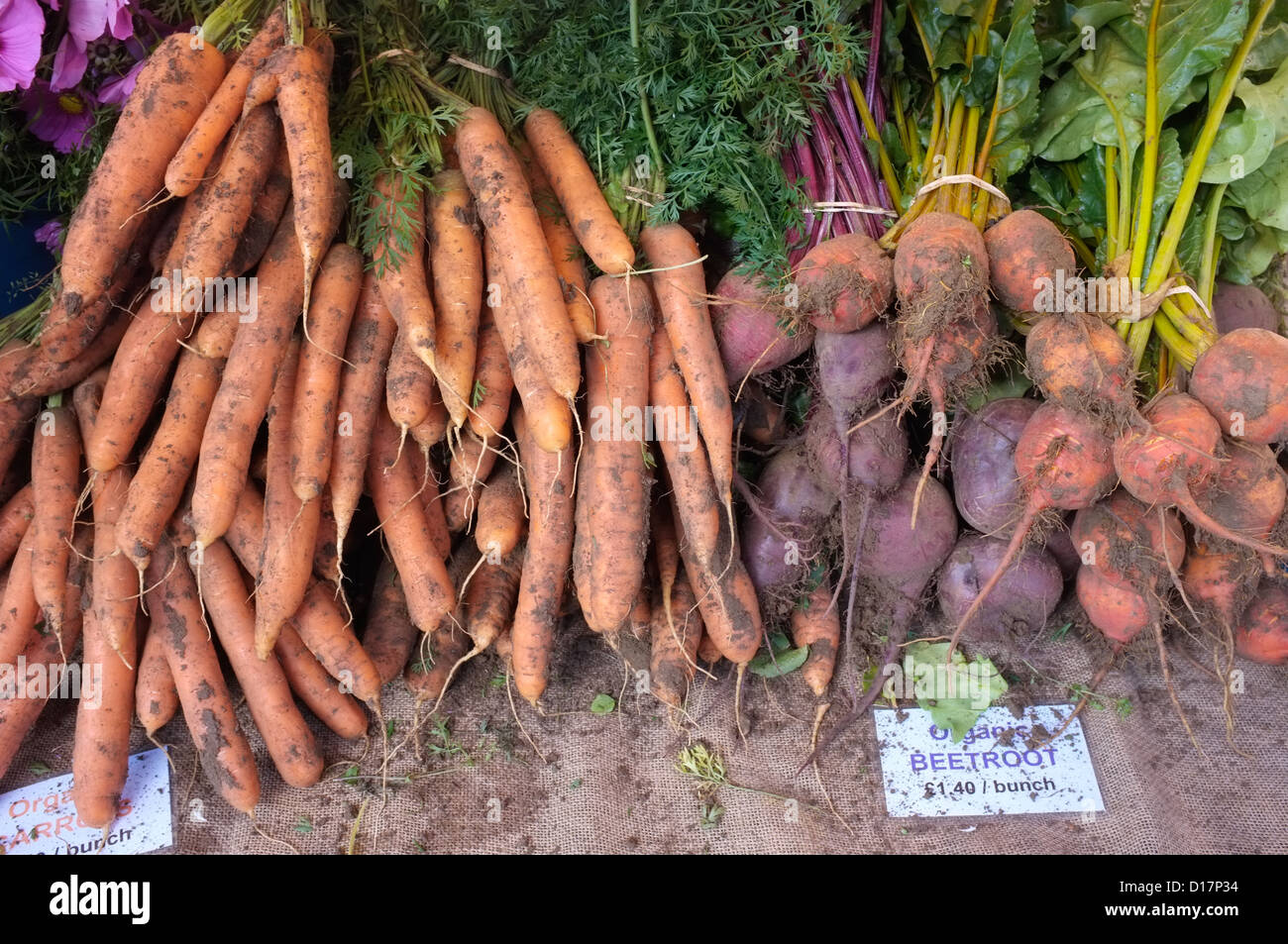 Free root vegetables hi-res stock photography and images - Alamy