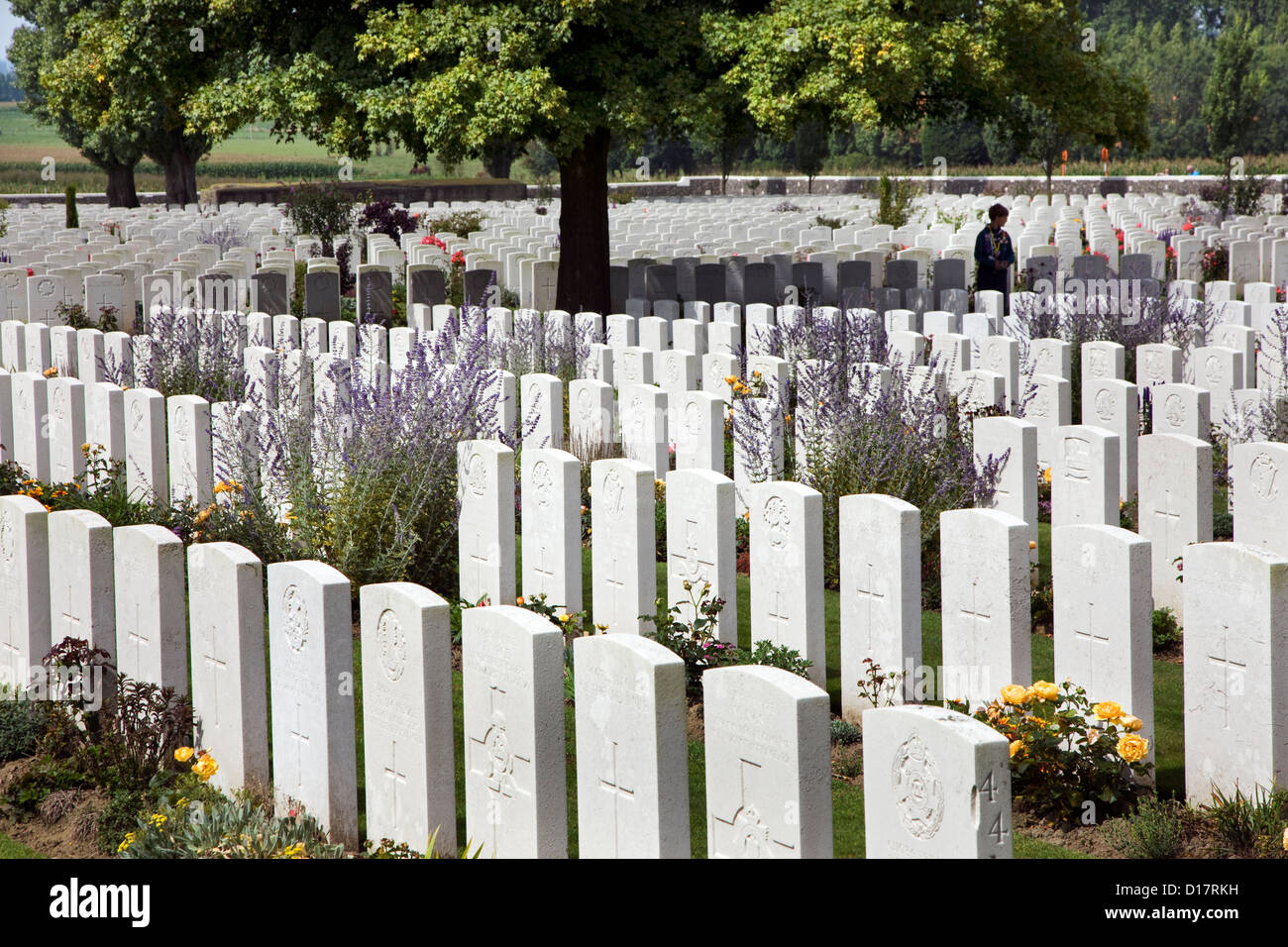 World war one graves hi-res stock photography and images - Alamy