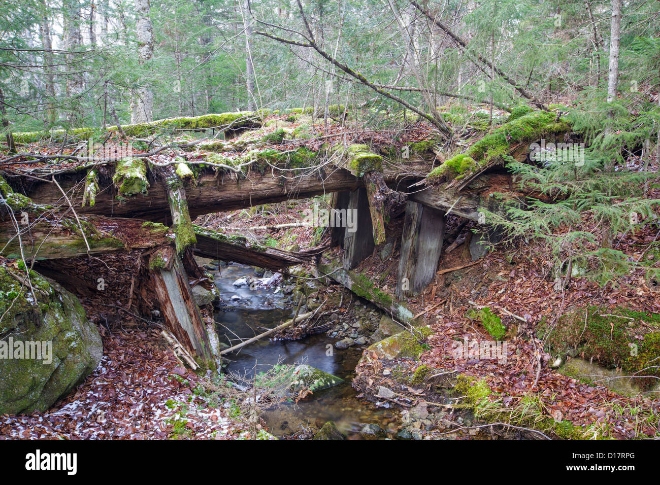 Side view of a decaying timber bridge along the abandoned Boston and ...